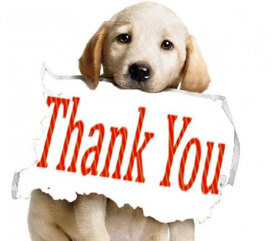 Donate Speaking Of Dogs